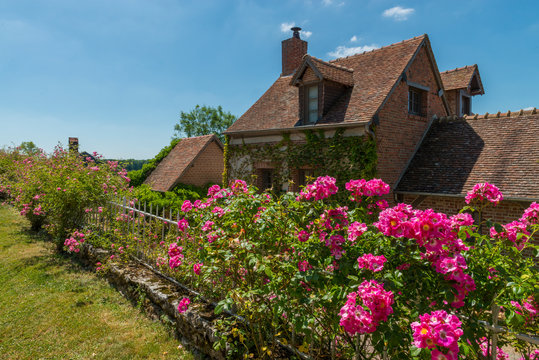 รูปภาพFleuris – เลือกดูภาพถ่ายสต็อก เวกเตอร์ และวิดีโอ1,046 | Adobe Stock