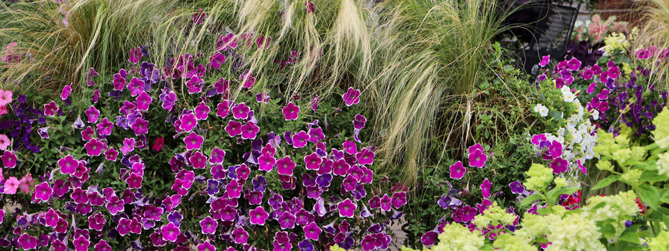 "Million Bells" Images – Browse 605 Stock Photos, Vectors, and Video ...