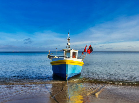 "Vessel Element" Images – Browse 4,637 Stock Photos, Vectors, and Video ...