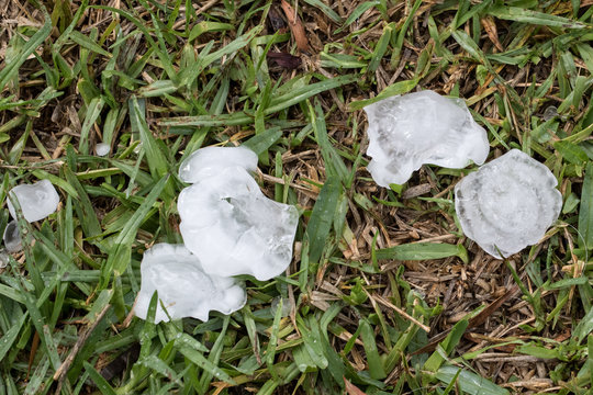 "Hail Stones" Images – Browse 382 Stock Photos, Vectors, and Video ...