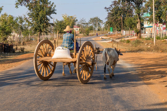 Charette Images – Browse 618 Stock Photos, Vectors, and Video | Adobe Stock