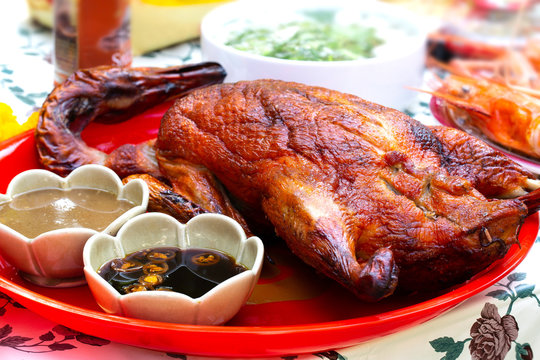 Lunce Images – Browse 56 Stock Photos, Vectors, and Video | Adobe Stock