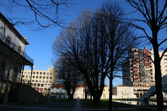 Angelina Alves photos, images, assets | Adobe Stock