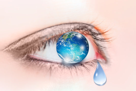 Imágenes de Ojear: descubre bancos de fotos, ilustraciones, vectores y ...