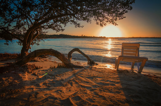 Alex Papp photos, images, assets | Adobe Stock