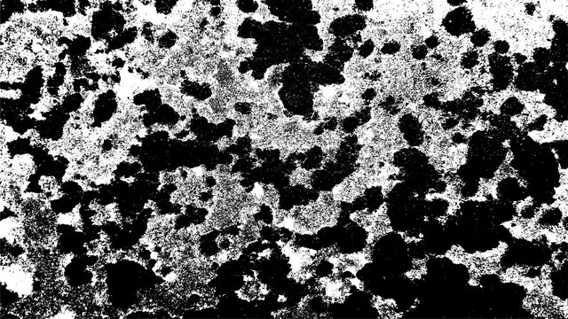 "Moss Texture" Images – Browse 3,588 Stock Photos, Vectors, and Video ...