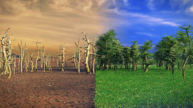 Meagerness Bilder – Durchsuchen 273 Archivfotos, Vektorgrafiken und ...