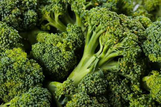 「Gabbage」の画像 - 115 件の Stock 写真、ベクターおよびビデオ | Adobe Stock