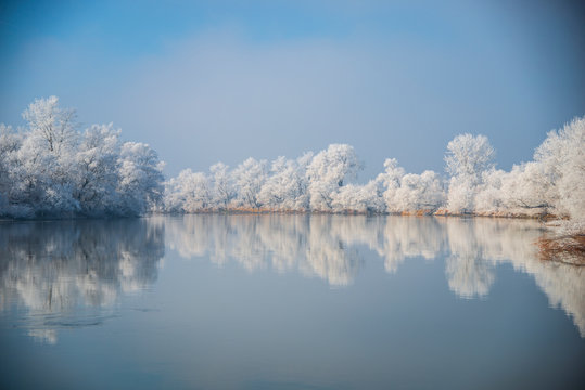 Hoarfrost Images – Browse 2,923,504 Stock Photos, Vectors, and Video ...