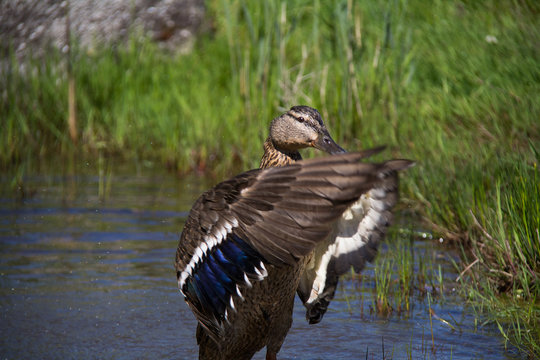 Momentaufnahme Images – Parcourir 571 le catalogue de photos, vecteurs et vidéos | Adobe Stock