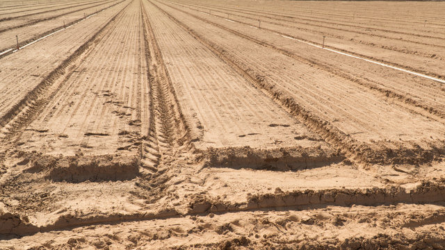 Furrow Images – Browse 853,734 Stock Photos, Vectors, and Video | Adobe ...