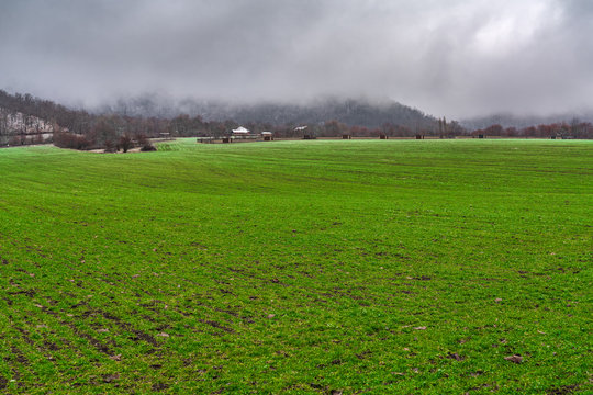รูปภาพFarmfield – เลือกดูภาพถ่ายสต็อก เวกเตอร์ และวิดีโอ873 | Adobe Stock