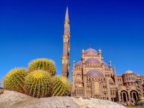 รูปภาพMustafa – เลือกดูภาพถ่ายสต็อก เวกเตอร์ และวิดีโอ5,947 | Adobe Stock