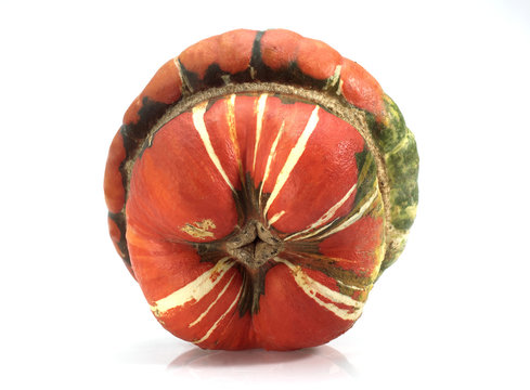 Giromon Squash
