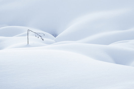 ViewBug photos, images, assets | Adobe Stock