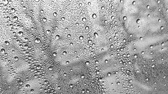 LAS 3,884,778 MEJORES IMÁGENES, FOTOS DE ARCHIVO Y VECTORES DE Mojado ...