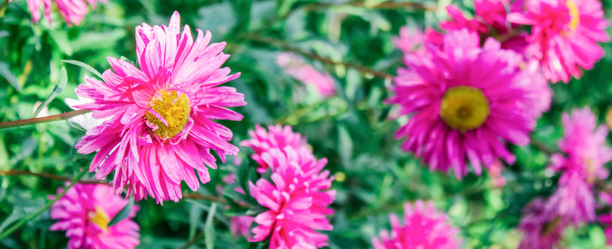 AnnyStudio photos, images, assets | Adobe Stock