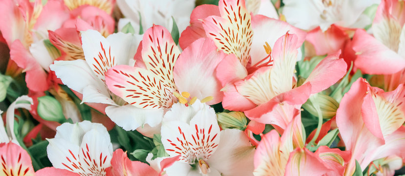 AnnyStudio photos, images, assets | Adobe Stock