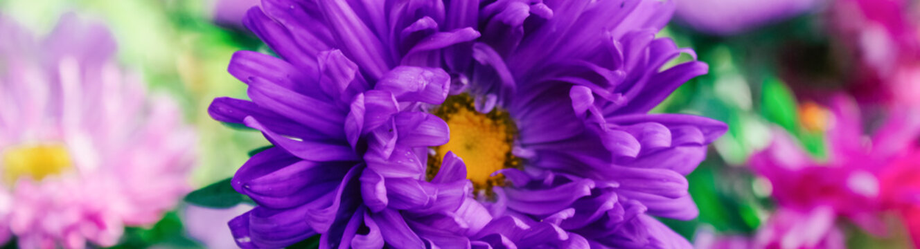 AnnyStudio photos, images, assets | Adobe Stock