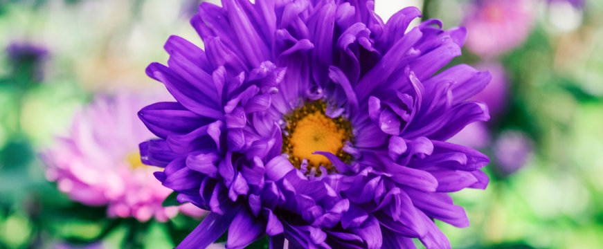 AnnyStudio photos, images, assets | Adobe Stock