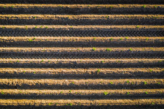 Furrow Images – Browse 846,213 Stock Photos, Vectors, and Video | Adobe ...