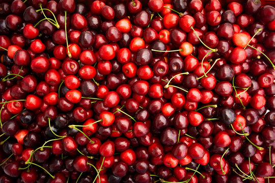 "Cherry Background" Images – Browse 4,871 Stock Photos, Vectors, and ...