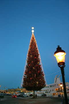 Julgran Bilder – Durchsuchen 62 Archivfotos, Vektorgrafiken und Videos ...