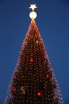 Julgran Bilder – Durchsuchen 62 Archivfotos, Vektorgrafiken und Videos ...