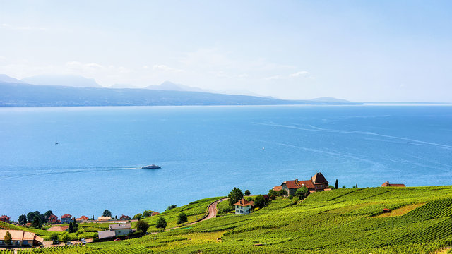 รูปภาพOron – เลือกดูภาพถ่ายสต็อก เวกเตอร์ และวิดีโอ644 | Adobe Stock