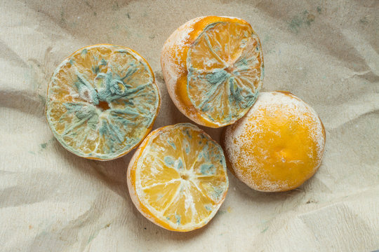 Moldy Fruit