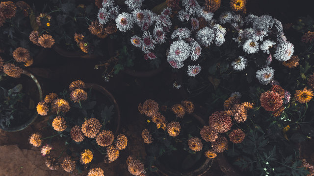 Galgota Images – Browse 41 Stock Photos, Vectors, and Video | Adobe Stock