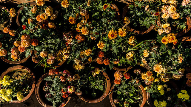 Galgota Images – Browse 41 Stock Photos, Vectors, and Video | Adobe Stock