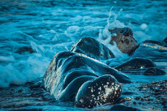 Obrazy (Levigate) — zdjęcia, wektory i wideo bez tantiem (176) | Adobe ...