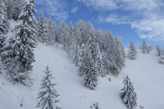 Winterscape Images – Browse 1,506 Stock Photos, Vectors, and Video ...