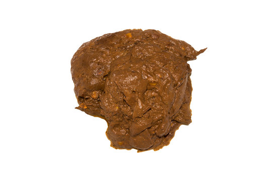 What Does Healthy Human Poop Look Like