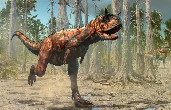 Carnotaurus Size Comparison T Rex