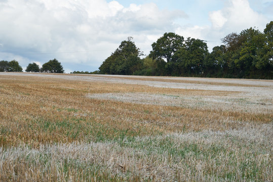 รูปภาพMoisson – เลือกดูภาพถ่ายสต็อก เวกเตอร์ และวิดีโอ16,677 | Adobe Stock