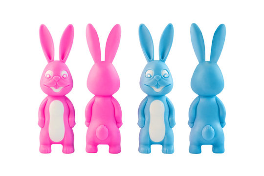 Blue Rabbit Images – Browse 161,158 Stock Photos, Vectors, and Video ...