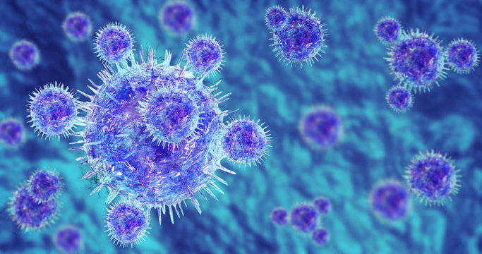 H5Ni Bilder – Durchsuchen 27 Archivfotos, Vektorgrafiken und Videos ...