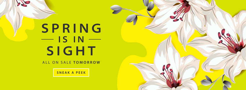 Spring Web Banner Images – Browse 2,926 Stock Photos, Vectors, and ...