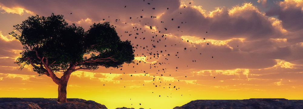 Windswept Images – Browse 11,509 Stock Photos, Vectors, and Video ...