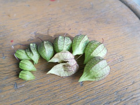 Anguleuse Images – Parcourir 682 le catalogue de photos, vecteurs et ...