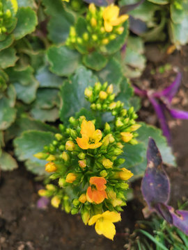 Auffallen Bilder – Durchsuchen 4,775 Archivfotos, Vektorgrafiken und ...