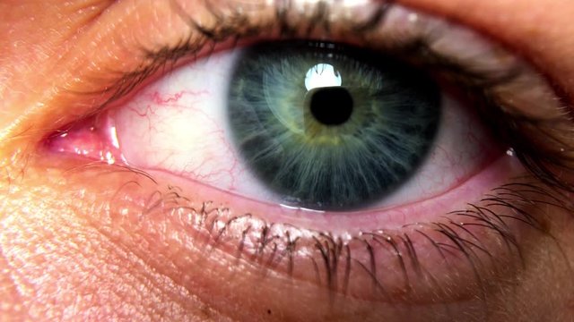 Pupillenreflex Bilder – Durchsuchen 3,283 Archivfotos, Vektorgrafiken ...