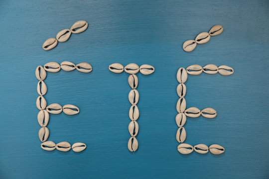 Cauris Images – Browse 39 Stock Photos, Vectors, and Video | Adobe Stock