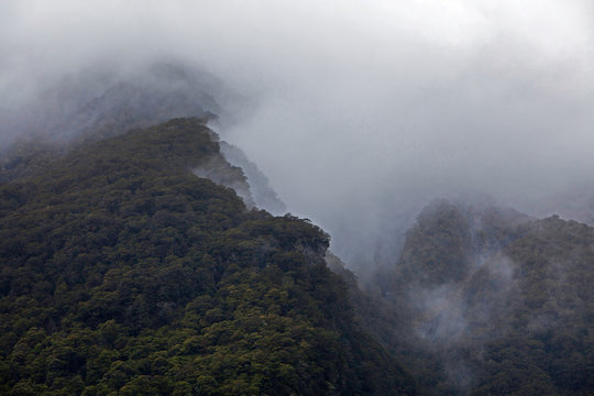 Aspirant Images – Browse 20,187 Stock Photos, Vectors, and Video ...