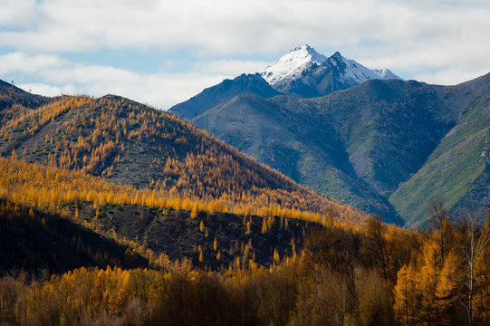 Magadan Bilder – Durchsuchen 2,501 Archivfotos, Vektorgrafiken und ...