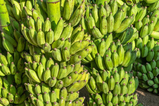 "Hand Of Bananas"-Bilder: Stock-Fotos & -Videos. | Adobe Stock