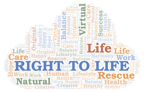 "Right To Life" Images – Parcourir 106 le catalogue de photos, vecteurs ...