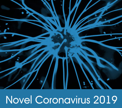 Nocel Images – Browse 5 Stock Photos, Vectors, and Video | Adobe Stock